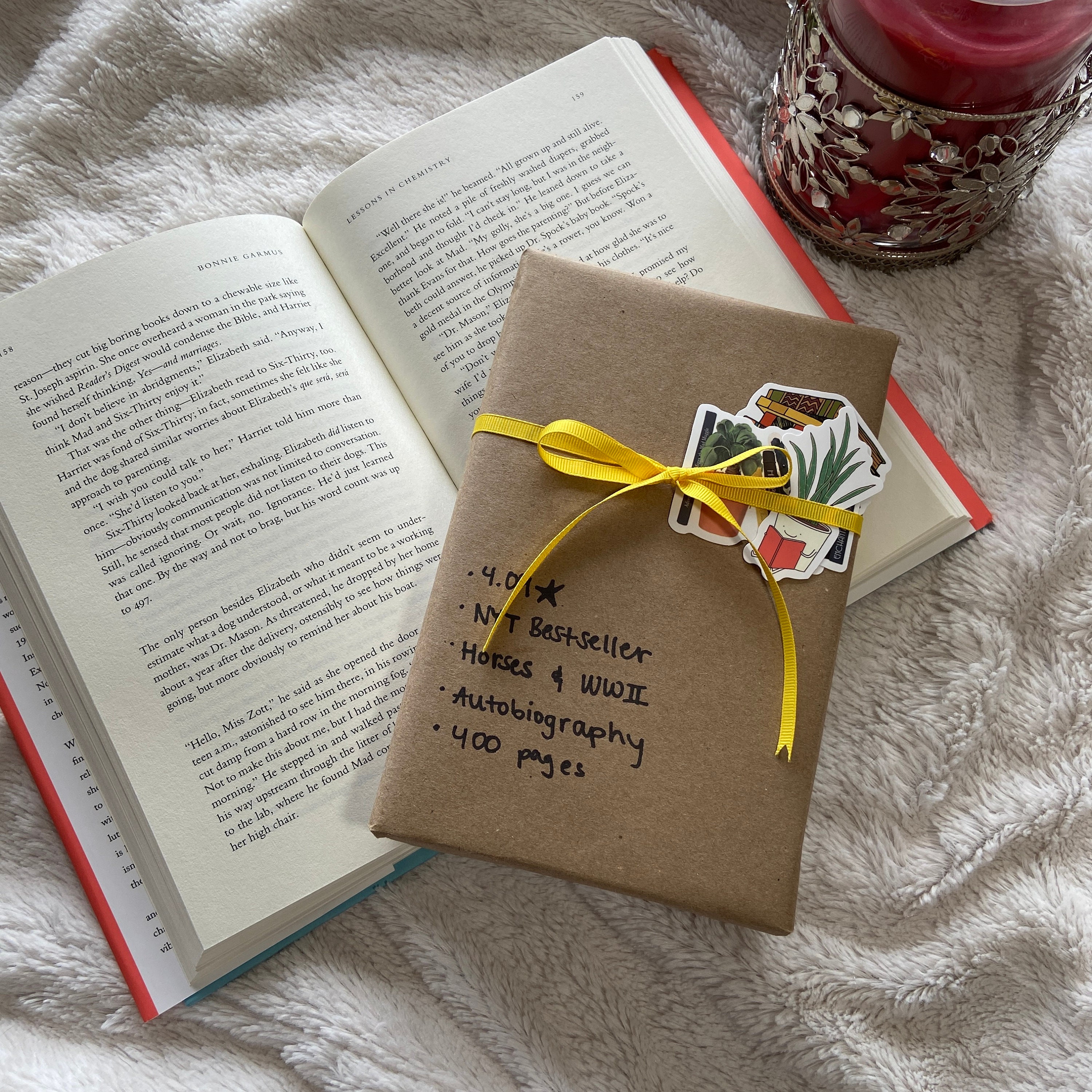 Blind Date With a Book, Book Dates, Bookish Blind Date, Blind Date ...