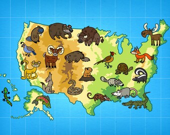 Flat Earth Map Velveteen Plush Blanket, Flat Earther Gift, Flat Earth ...