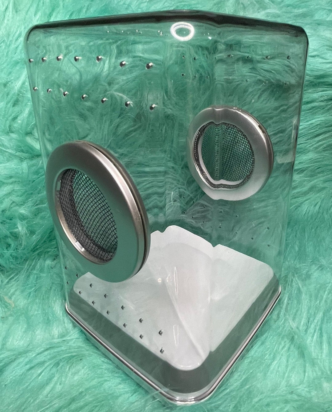 Blank, Bottom Opening Jumping Spider Enclosure fully Vented - Etsy