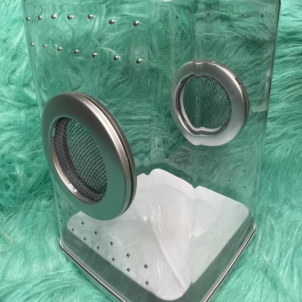 Jumping Spider Enclosure - Etsy