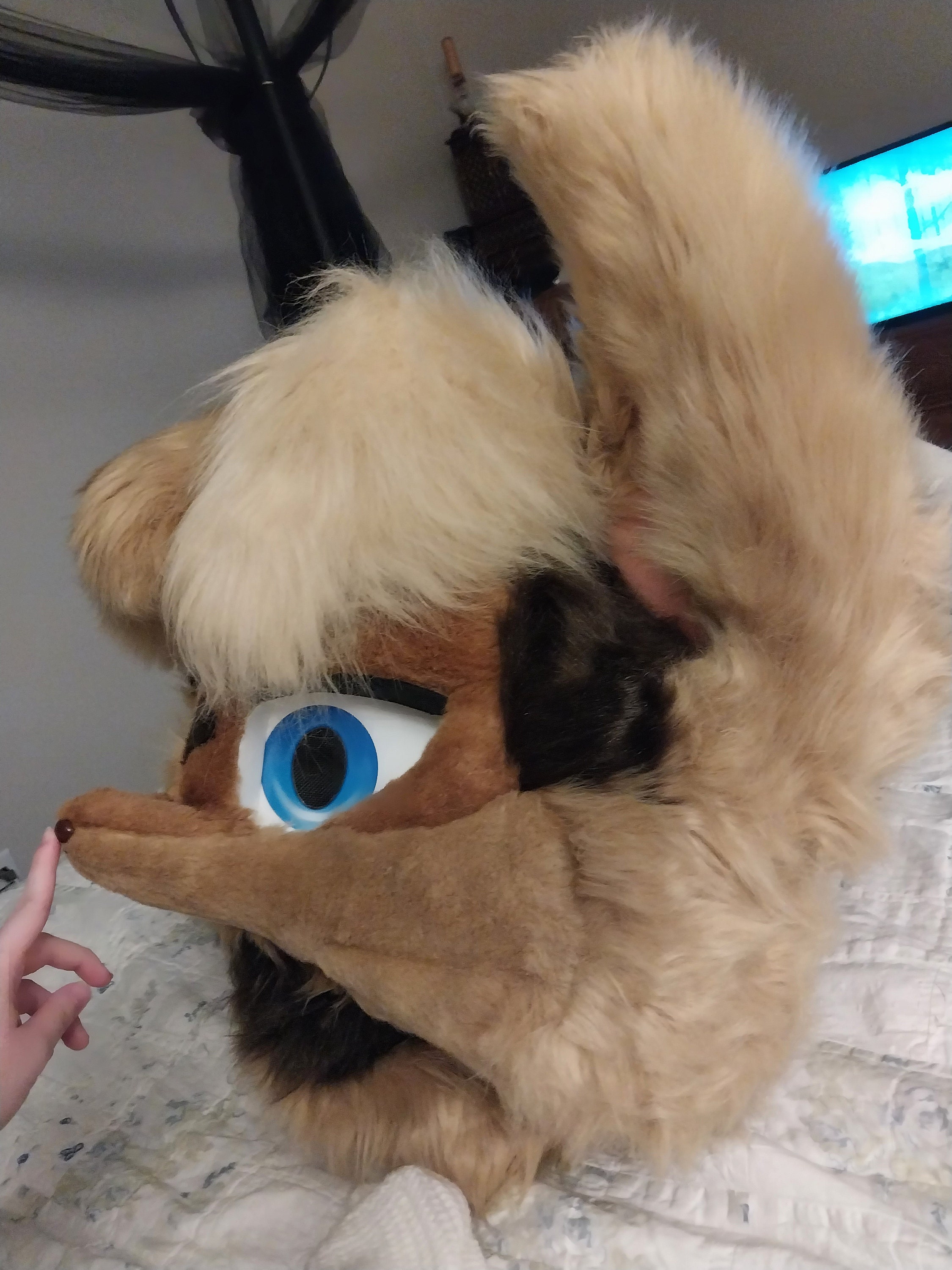 Premade Fursuit Partial / MQ/HQ Fox/husky Mix - Etsy