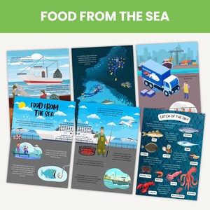 Food Origins Editable Canva Template Kids Nutrition Children Education ...