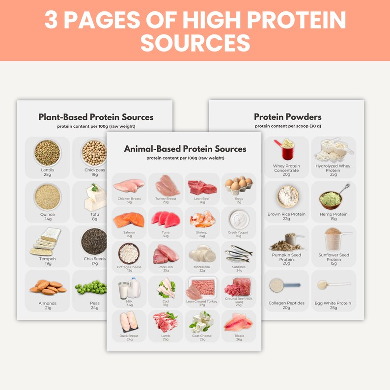 High Protein Sources Food List Editable Canva Template | Nutrition ...