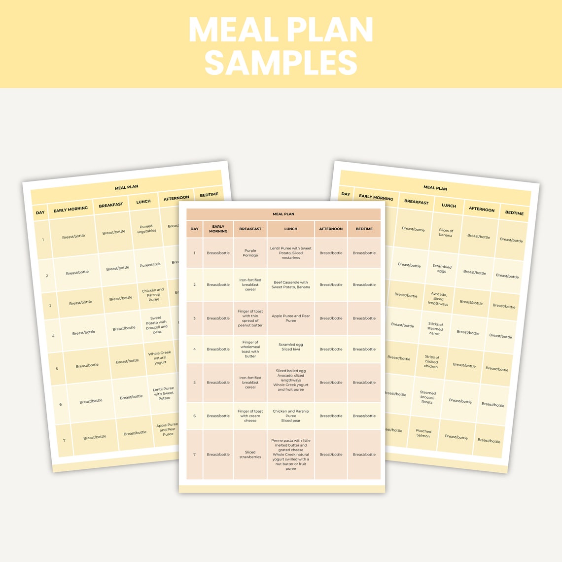 Nutrition Guide for Infants Editable Canva Template, Breastfeeding ...