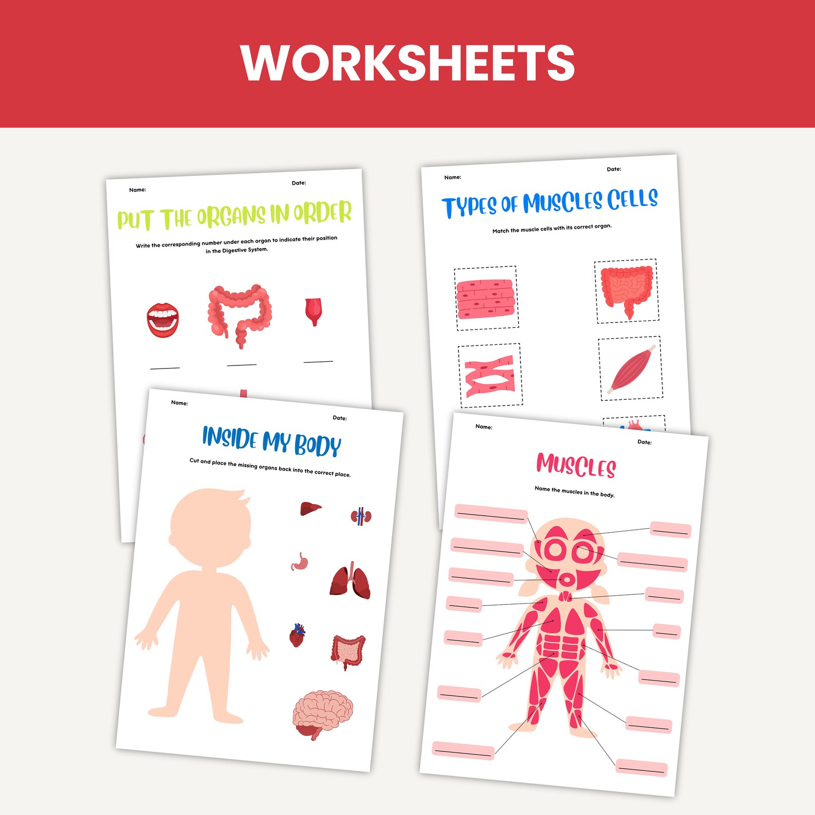 Kids Nutrition Bundle II Editable Canva Template | Digestive System ...