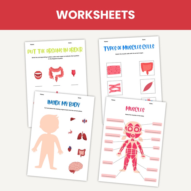 Kids Nutrition Bundle II Editable Canva Template, Digestive System ...