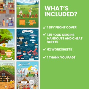 Food Origins Editable Canva Template Kids Nutrition Children Education ...