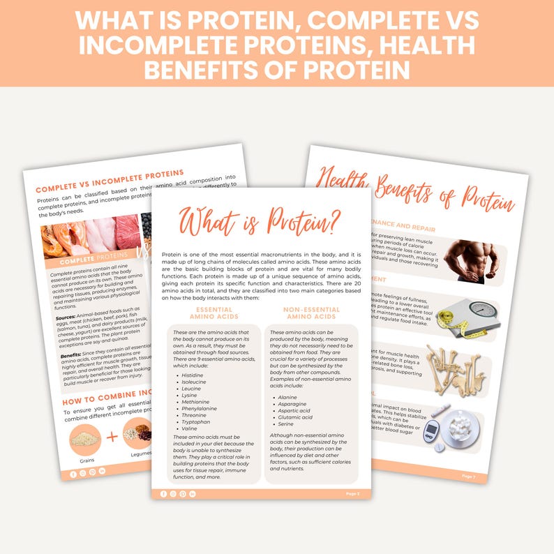 Guide to Protein Editable Canva Template | High Protein Recipes ...