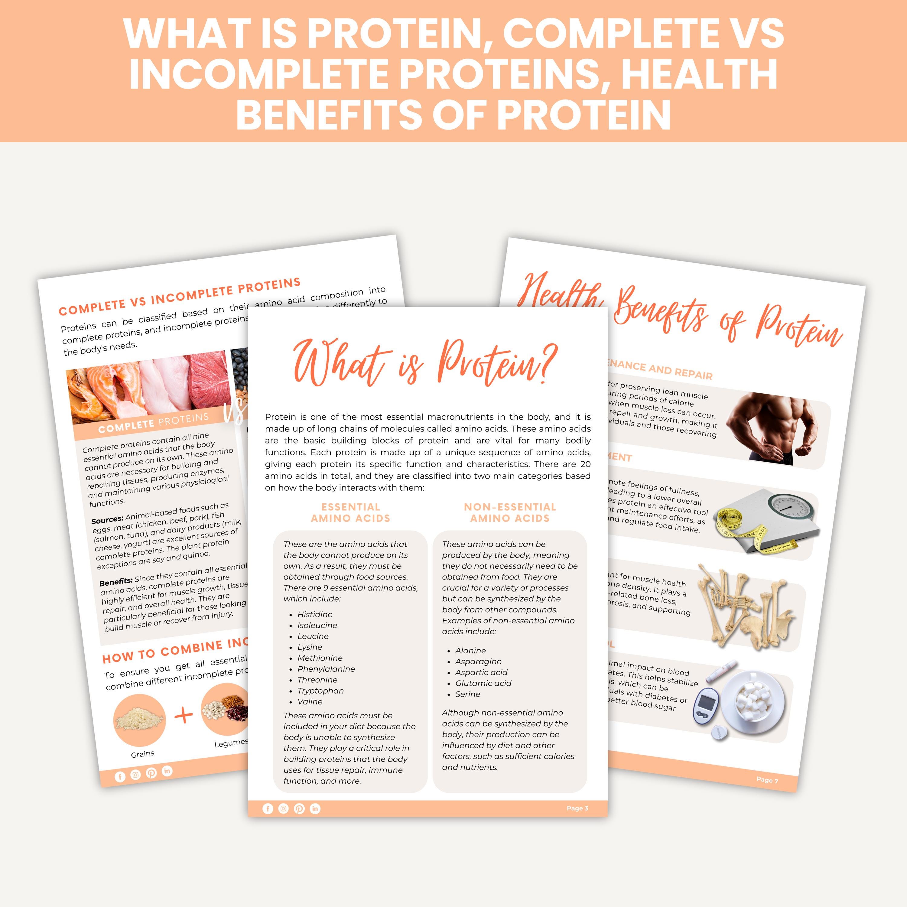 Protein Guide Canva Template: High-protein Recipes (digital Download ...
