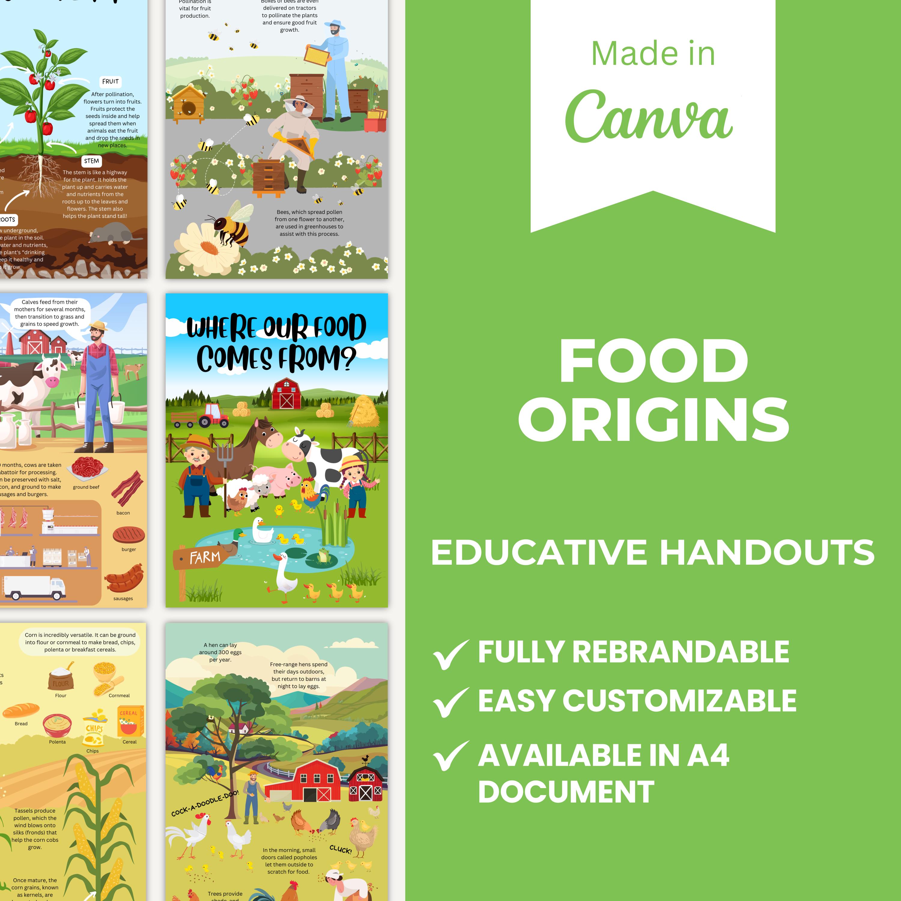 Food Origins Editable Canva Template Kids Nutrition Children Education ...