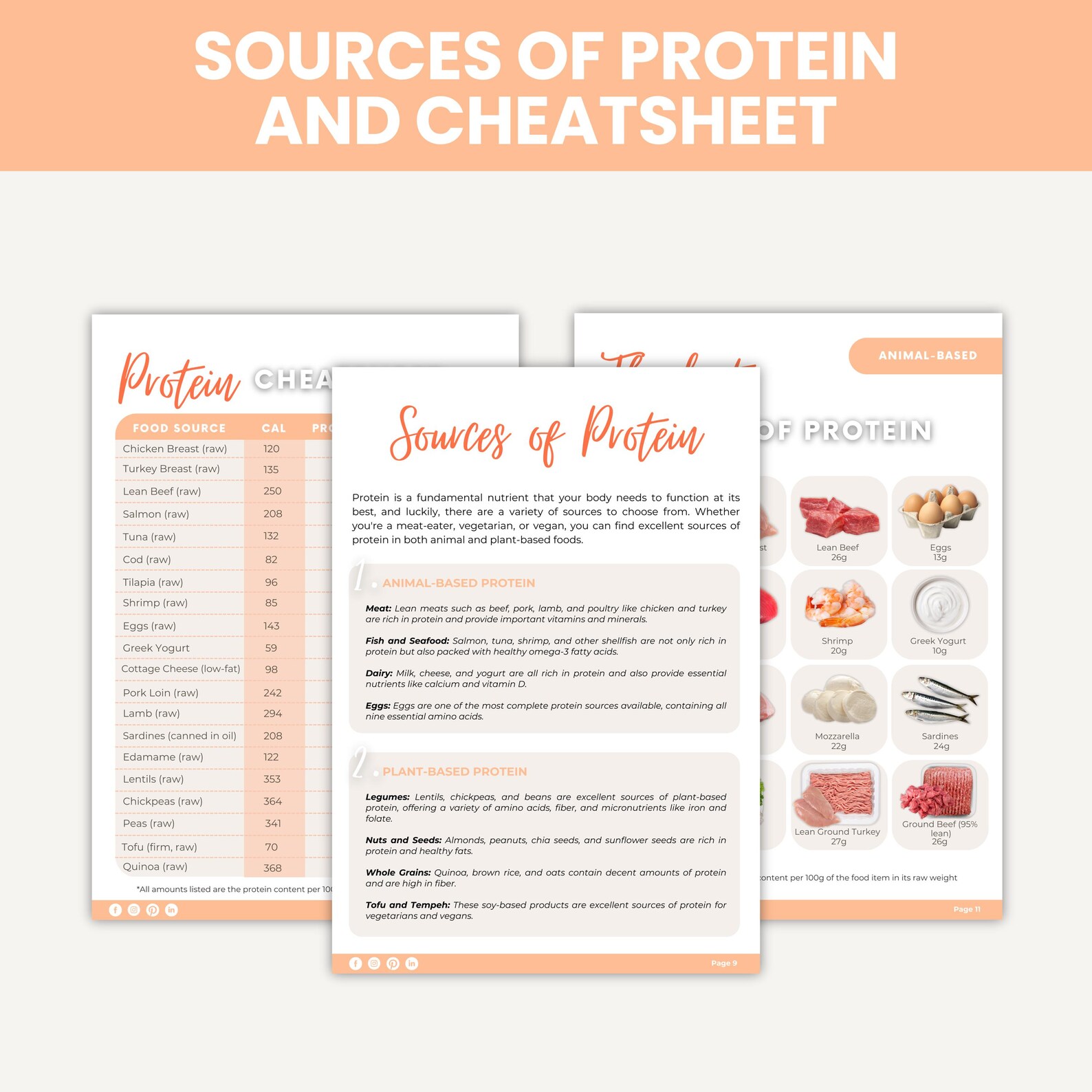 Protein Guide Canva Template: High-protein Recipes (digital Download ...