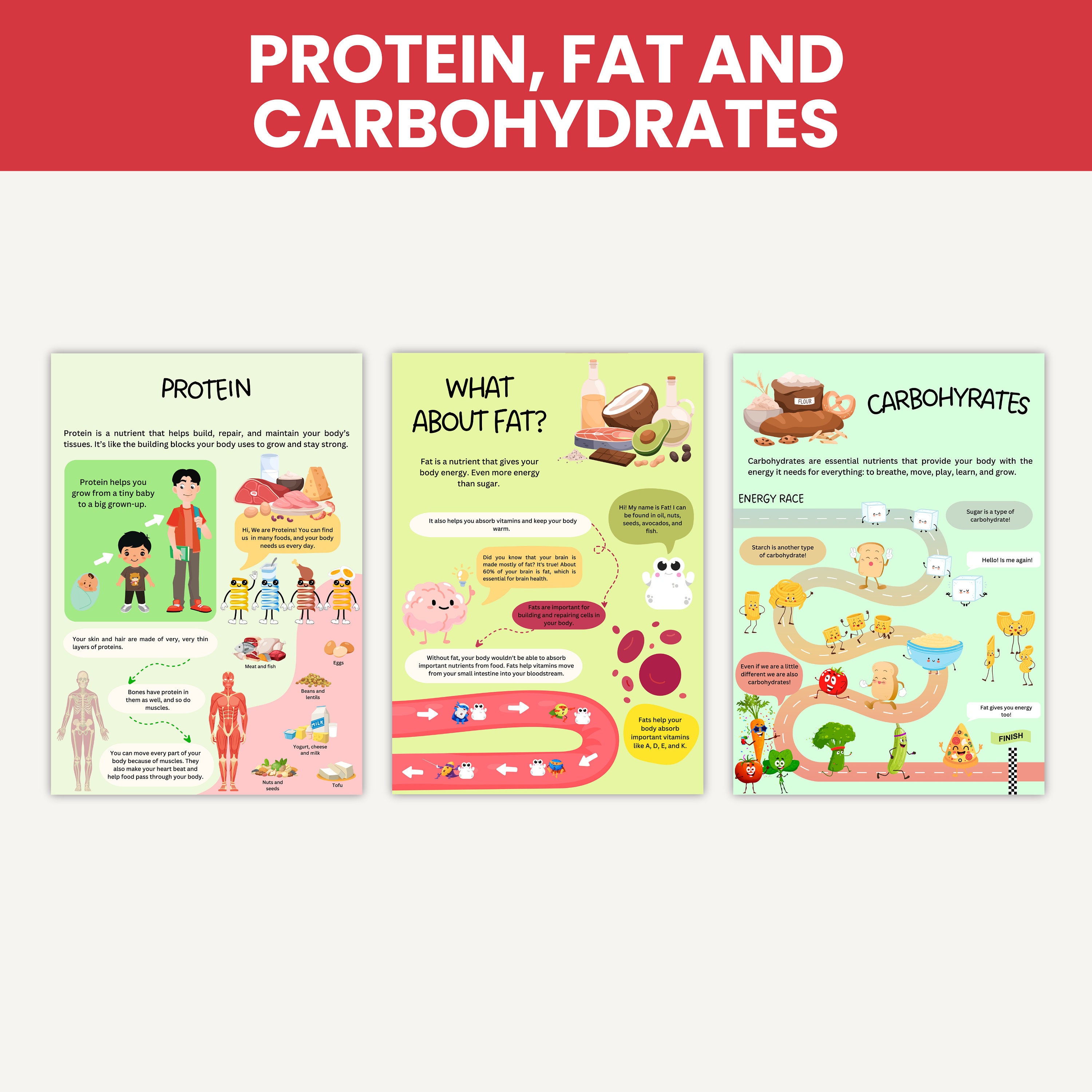 Kids Nutrition Bundle II Editable Canva Template, Digestive System ...