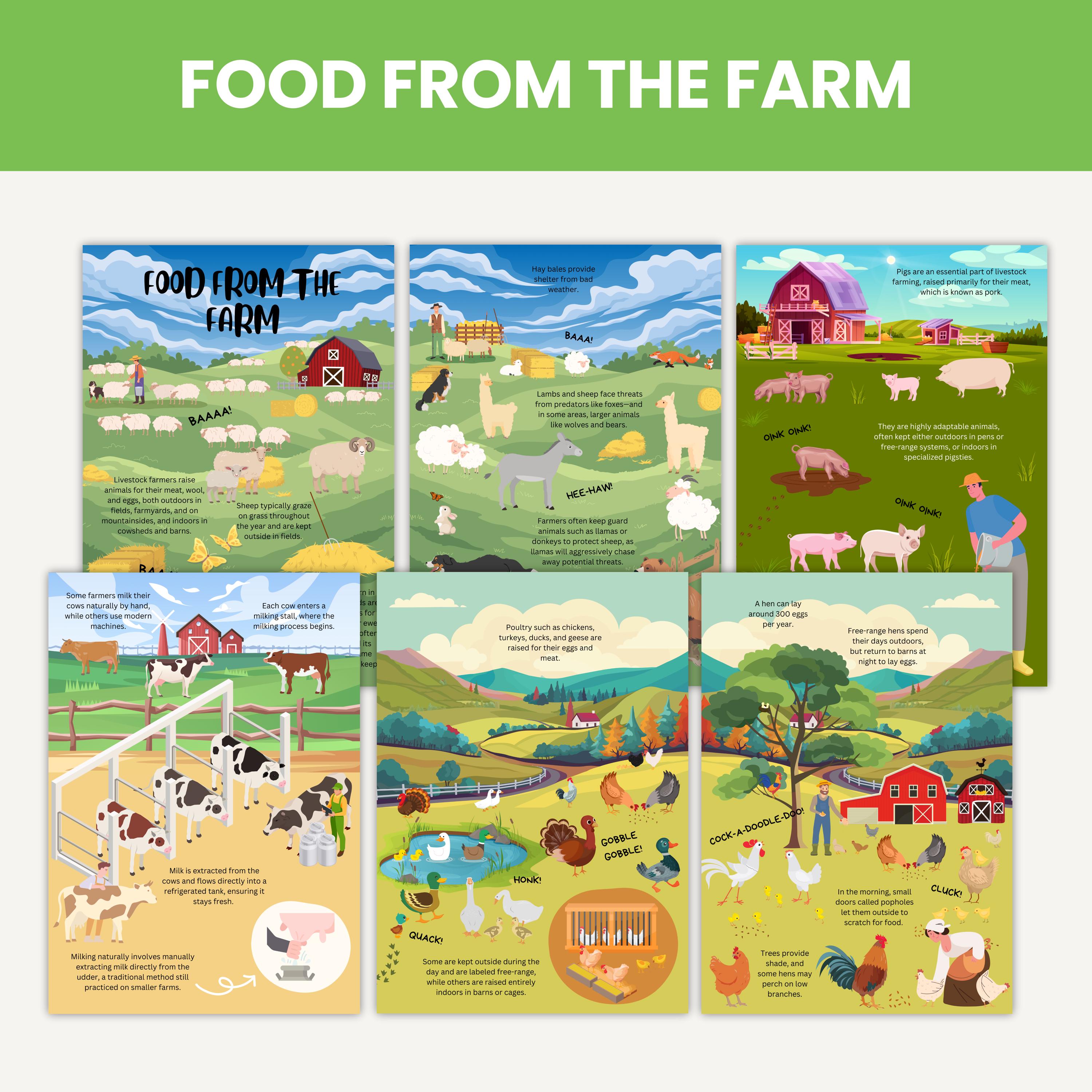 Food Origins Editable Canva Template Kids Nutrition Children Education ...