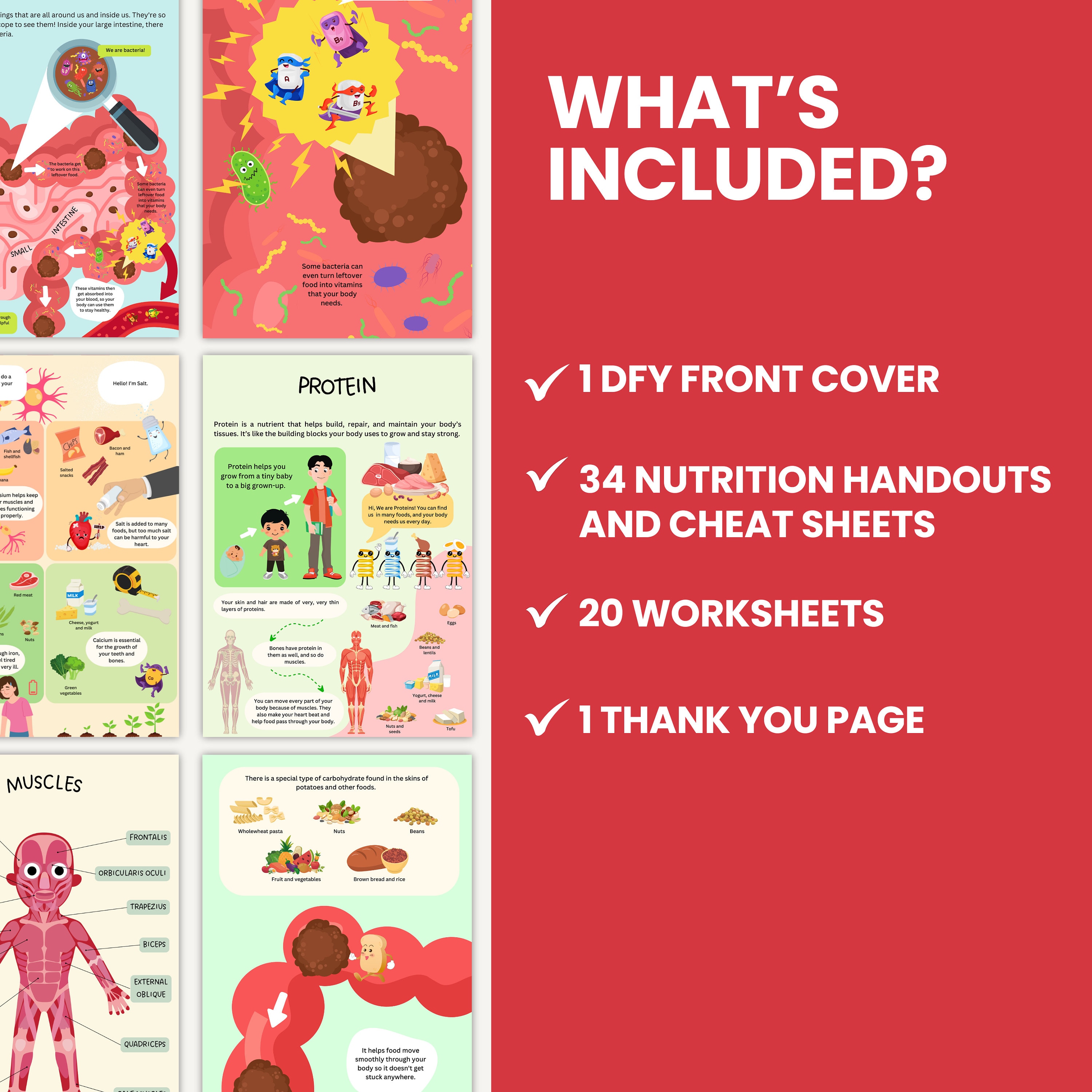 Kids Nutrition Bundle II Editable Canva Template Digestive System ...