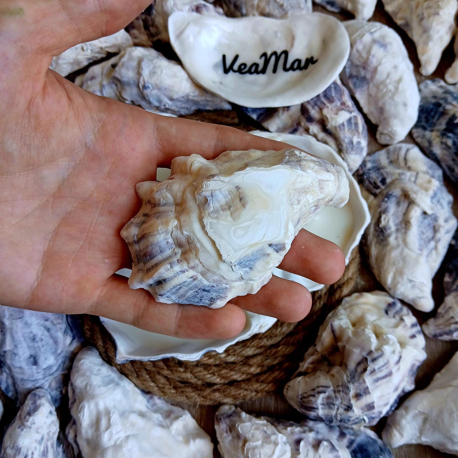 Natural Oyster Shell Candles – Eco Soy Wax, Coastal Beach Decor, Hand ...