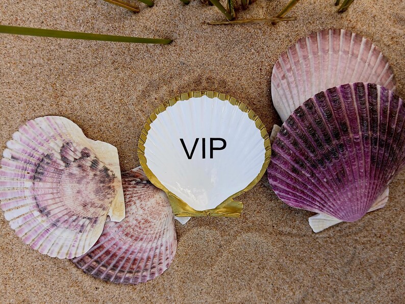 Bulk Custom Scallop Shells With Names, Words, Phrases and Designs ...