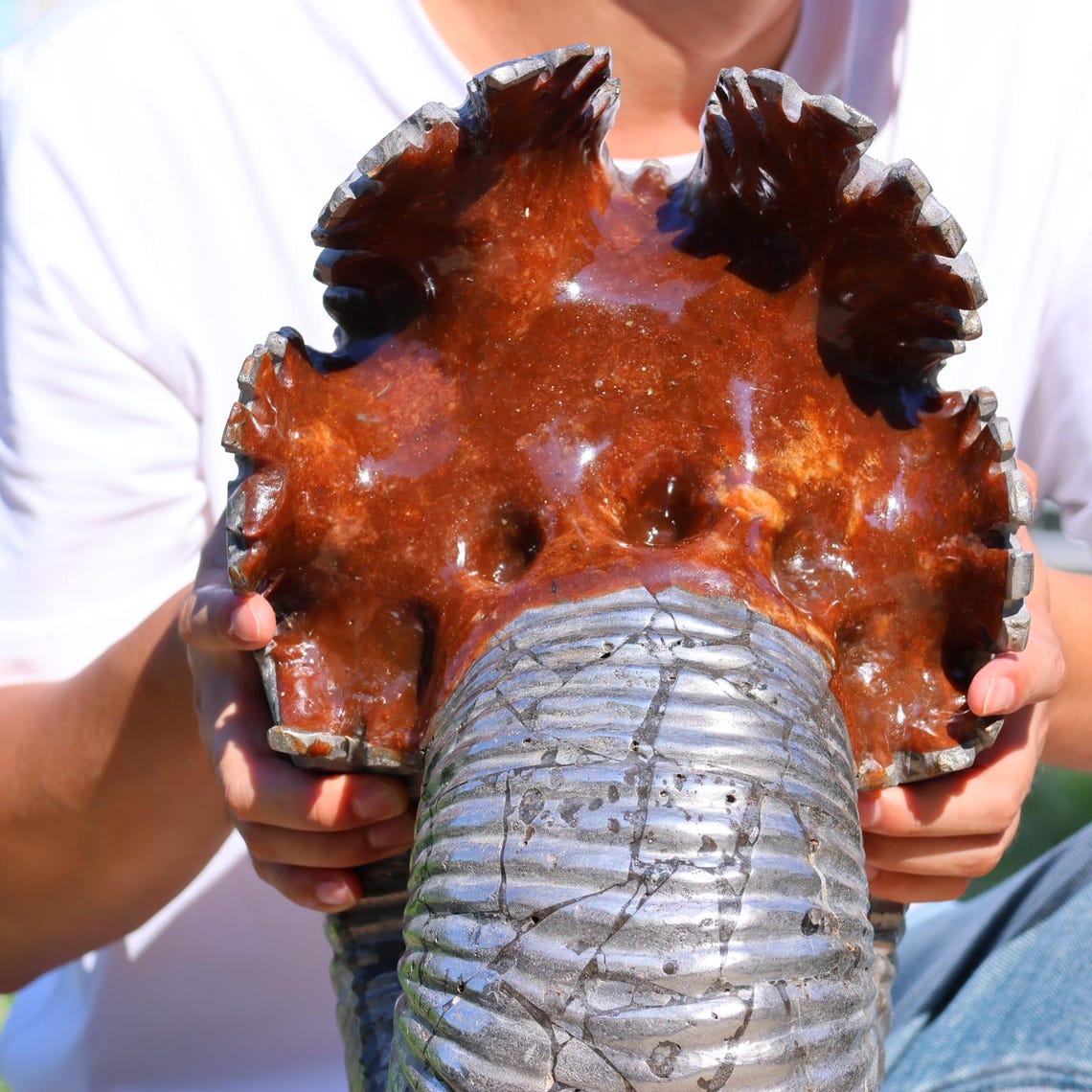 Iron Ore Fossil Conch ,specimen of Madagascar Healing Decor, Crystal ...