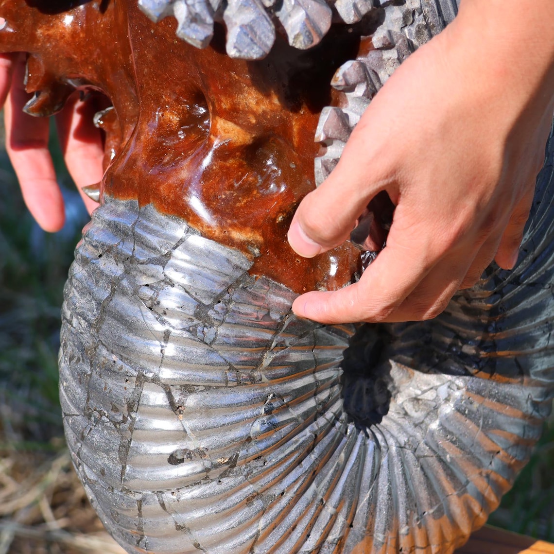 Iron Ore Fossil Conch ,specimen of Madagascar Healing Decor, Crystal ...