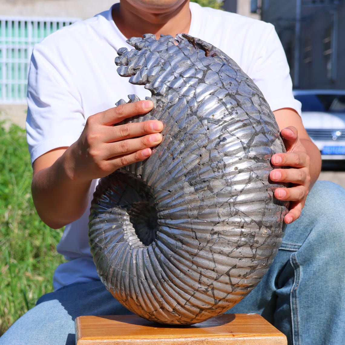 Iron Ore Fossil Conch ,specimen of Madagascar Healing Decor, Crystal ...