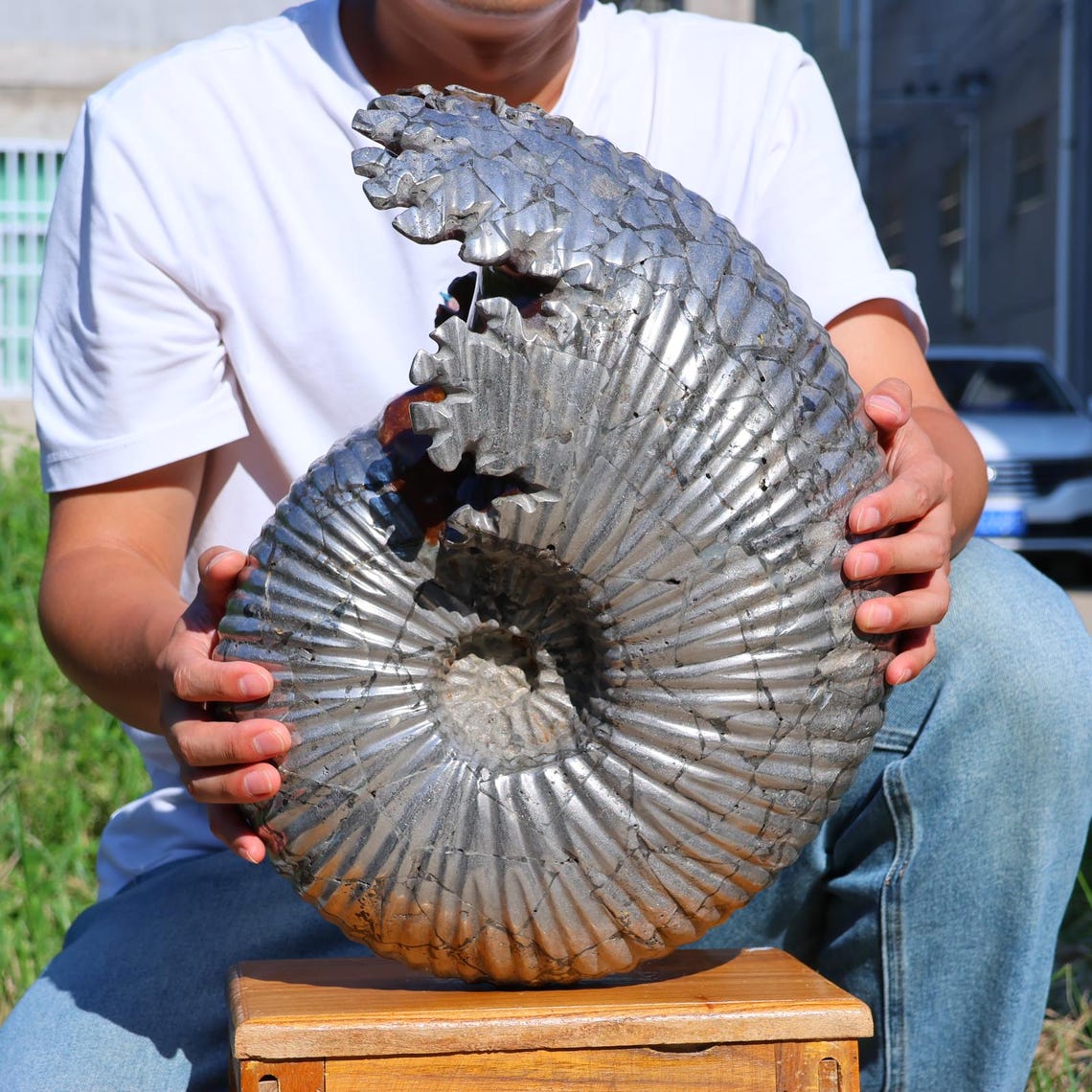 Iron Ore Fossil Conch ,specimen of Madagascar Healing Decor, Crystal ...