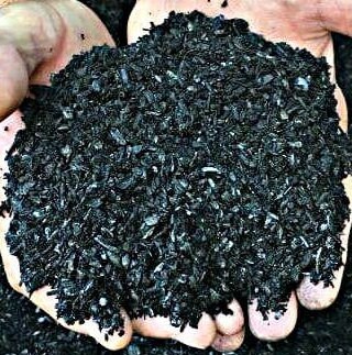 Biochar - Etsy