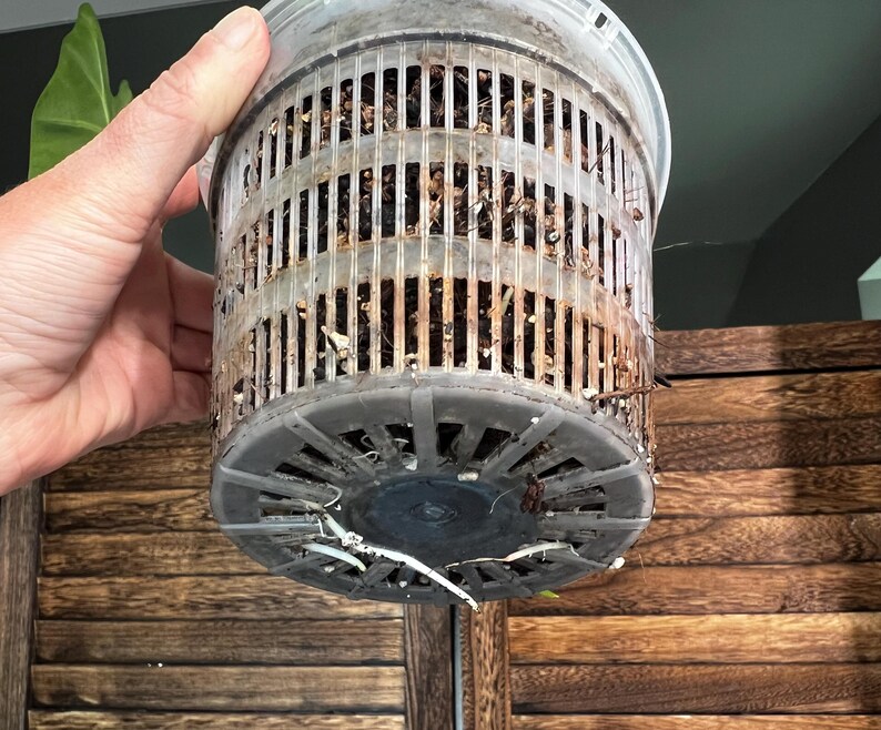 7.5 Inch Mesh Pots - Etsy