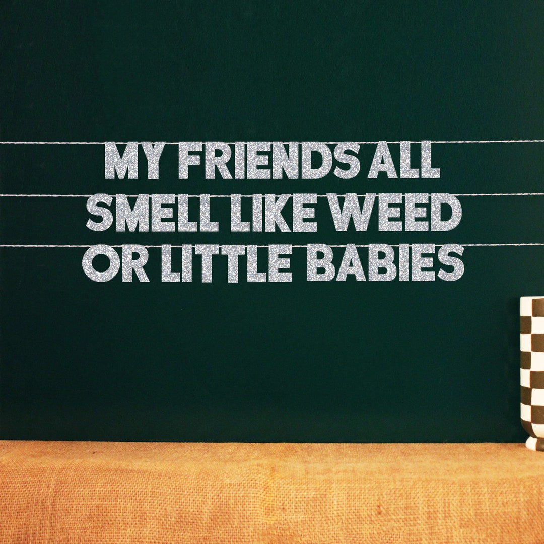 My Friends All Smell Like Weed or Little Babies TTPD Theme Party Decor ...
