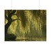 Atmospheric Willow Tree Poster - Elegant Matte Art Piece for Stylish ...