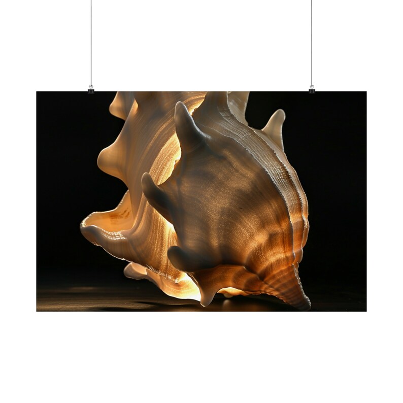Elegant Conch Shell Print, Soft Light Matte Poster, Artistic Home ...