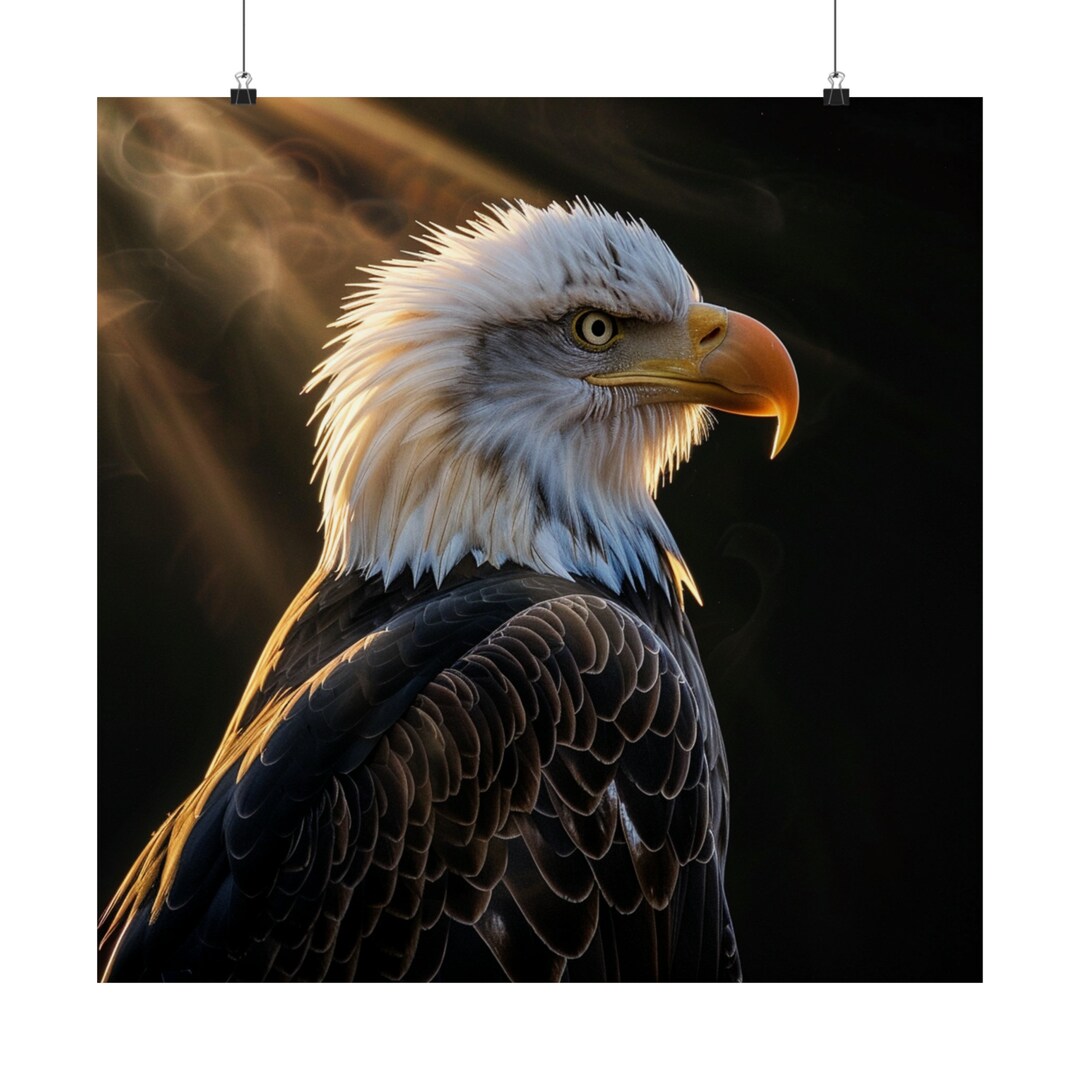 Ethereal Bald Eagle Matte Poster, Captivating Atmospheric Lighting ...