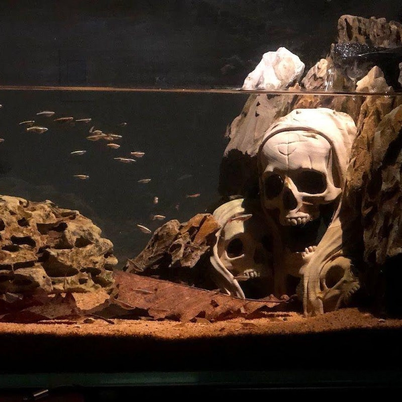 Halloween Aquarium Decor - Etsy