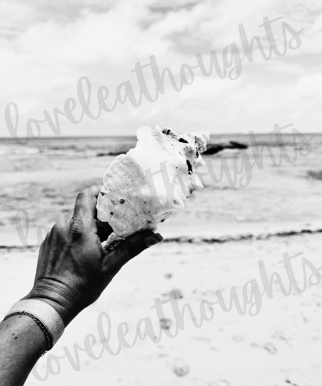 Grand Turk-turks & Caicos Shell Black and White Beach Digital Art ...