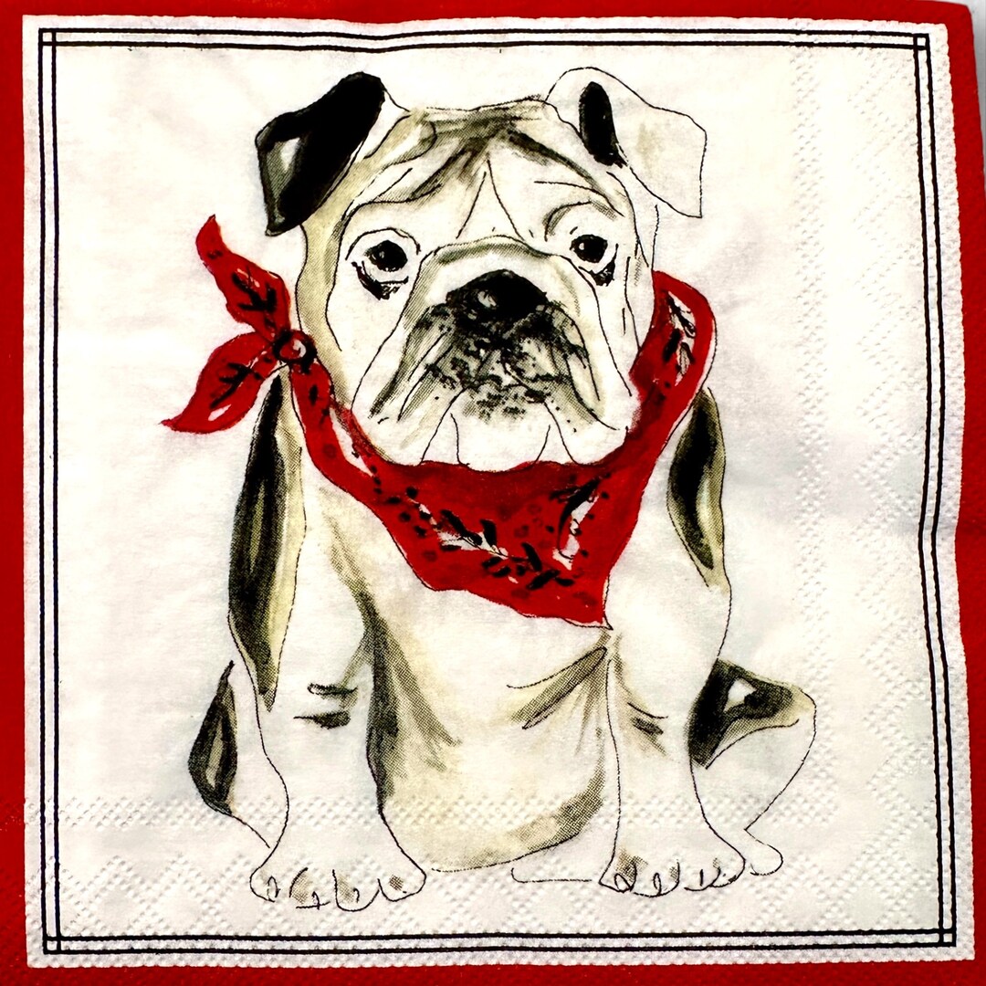 Decoupage Napkins, Bulldog Napkin, Oyster Shell Decoupage, UGA Napkin ...