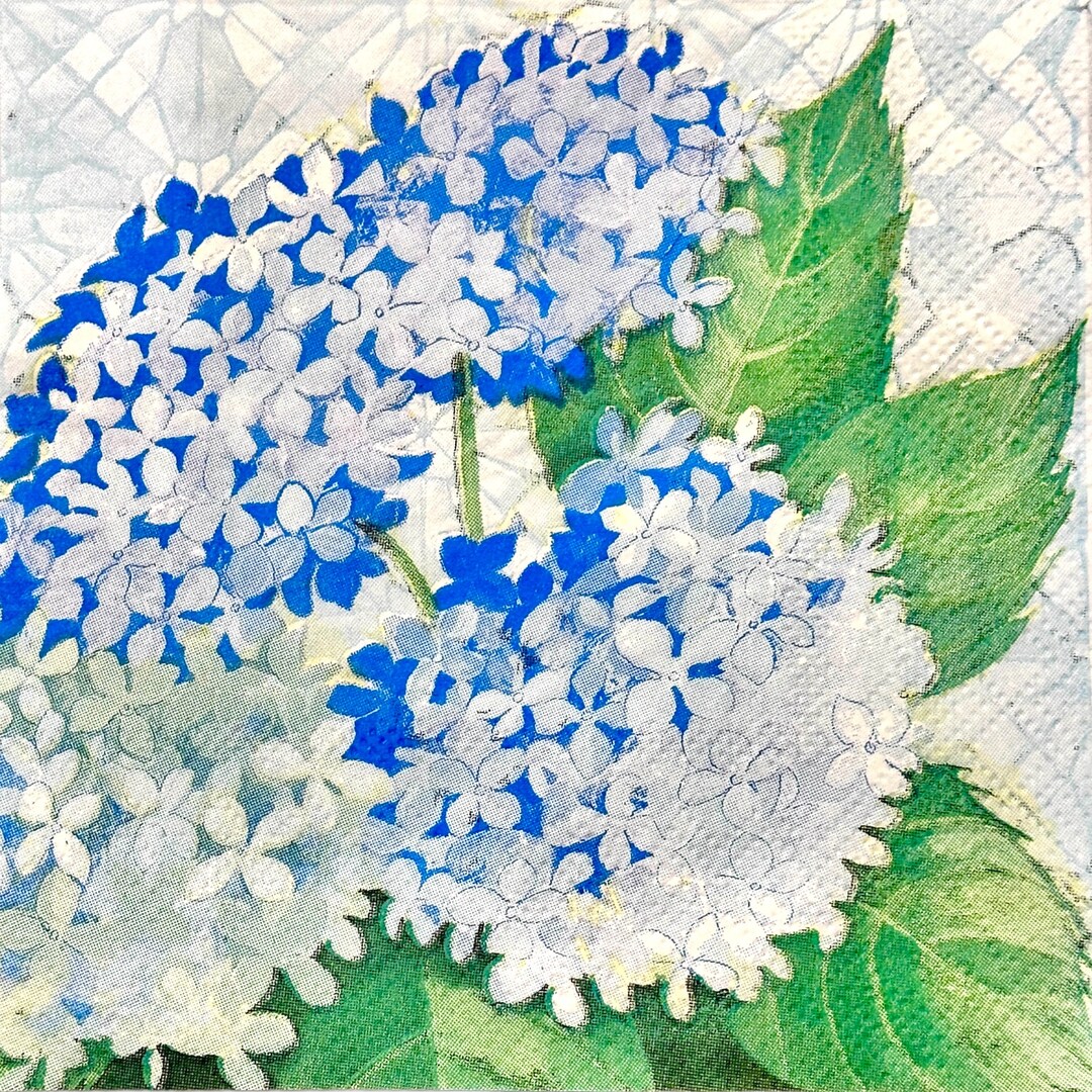 Decoupage Napkins, Hydrangea Paper Napkin, Craft Napkin, Oyster Shell ...