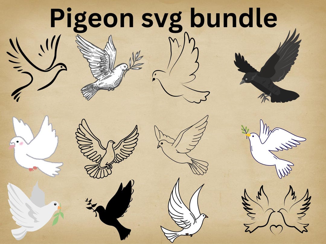 Pigeon SVG Bundle, Pigeon Cut Files for Cricut , Pigeon Silhouette ...