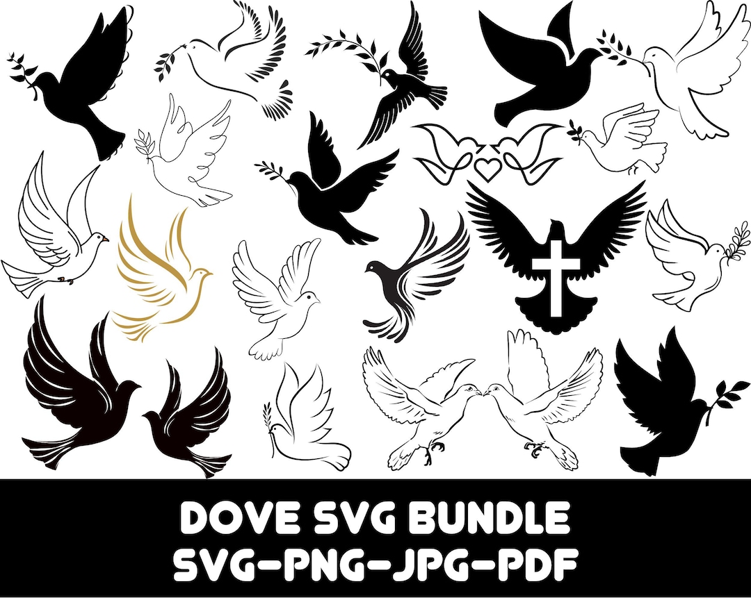 Dove SVG Bundle, Dove PNG Bundle, Dove Clipart, Pigeon SVG Cut Files ...