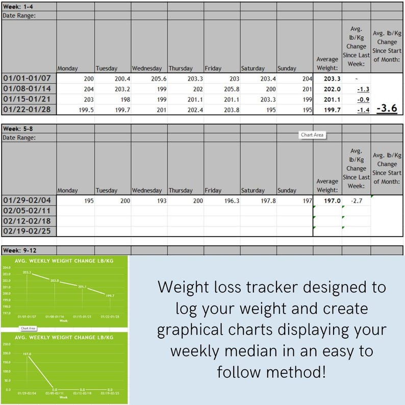Excel 2024 All-in-one Fitness Planner, Health, Food Tracker, Includes ...