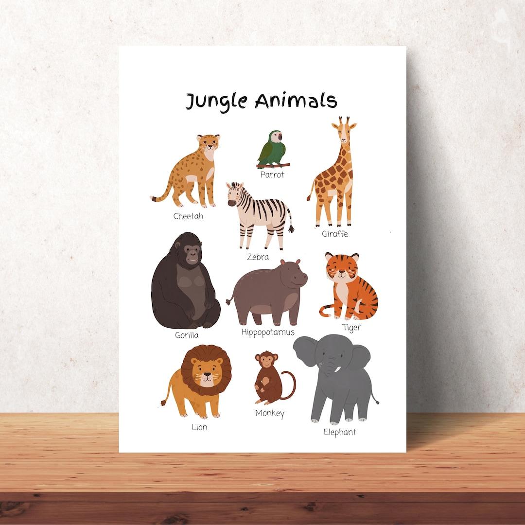 Jungle Animals Poster, Homeschool Learning, Education Poster, Kid ...