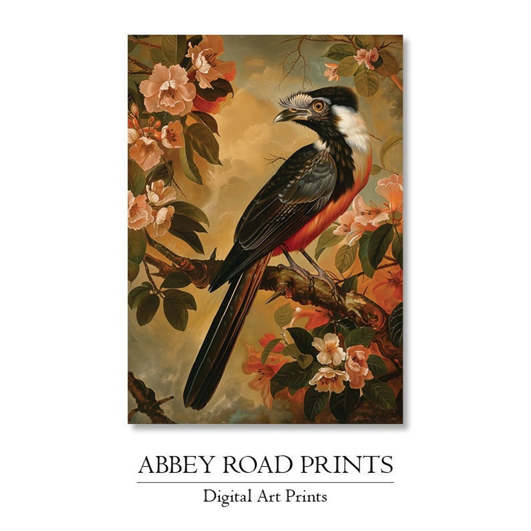 Regal Bird Print - Vintage Wildlife Illustration Art (digital Download ...