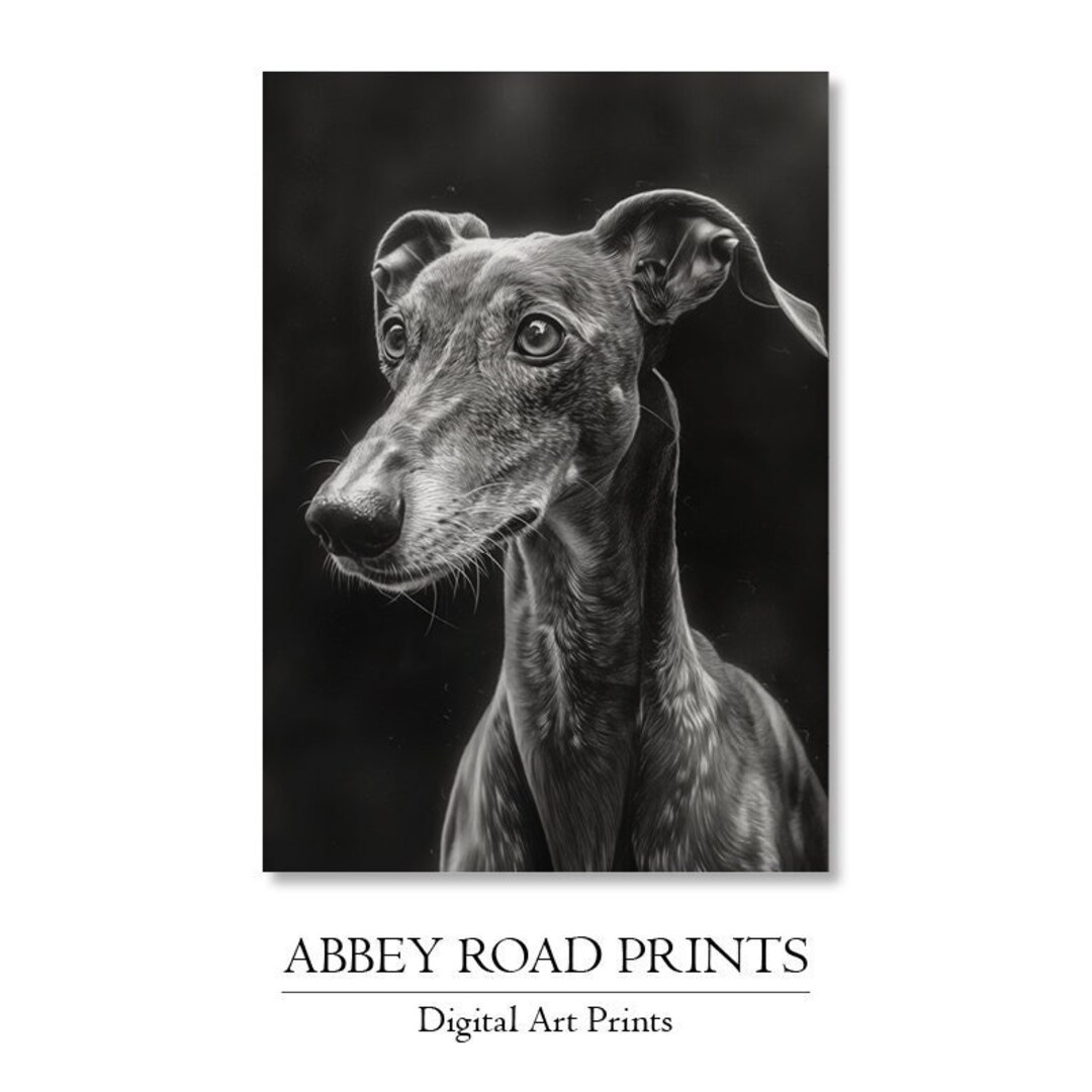 Greyhound Dog Poster for Dog Owner Gift for Dog Lover Greyhound Poster ...