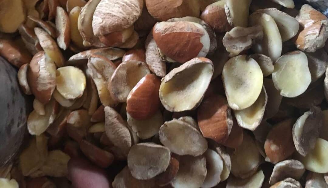 Irvingia Gabonensis/african Mango/ Bush Mango /seeds/ Kernels - 1000g ...