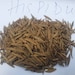 Nauclea Latifolia / African Peach Roots Bark - 1000g/1kg - Etsy