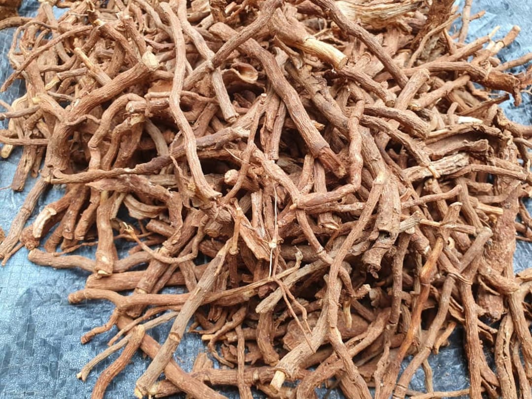 Mondia Whitei/white's Ginger/mulondo/tonic Root/roots/powder - Etsy