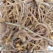 Nauclea Latifolia / African Peach Roots Bark - 1000g/1kg - Etsy