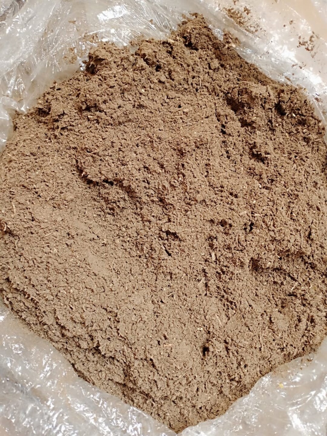 Kigelia Africana/sausage Tree Fruit Powder 1000g/1kg - Etsy