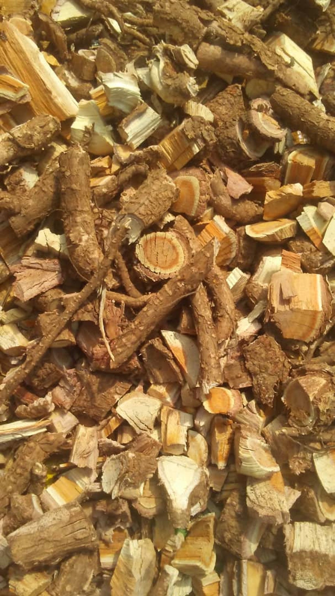 Caesalpinia Benthamiana/peacock Flower/ Roots /powder - Etsy