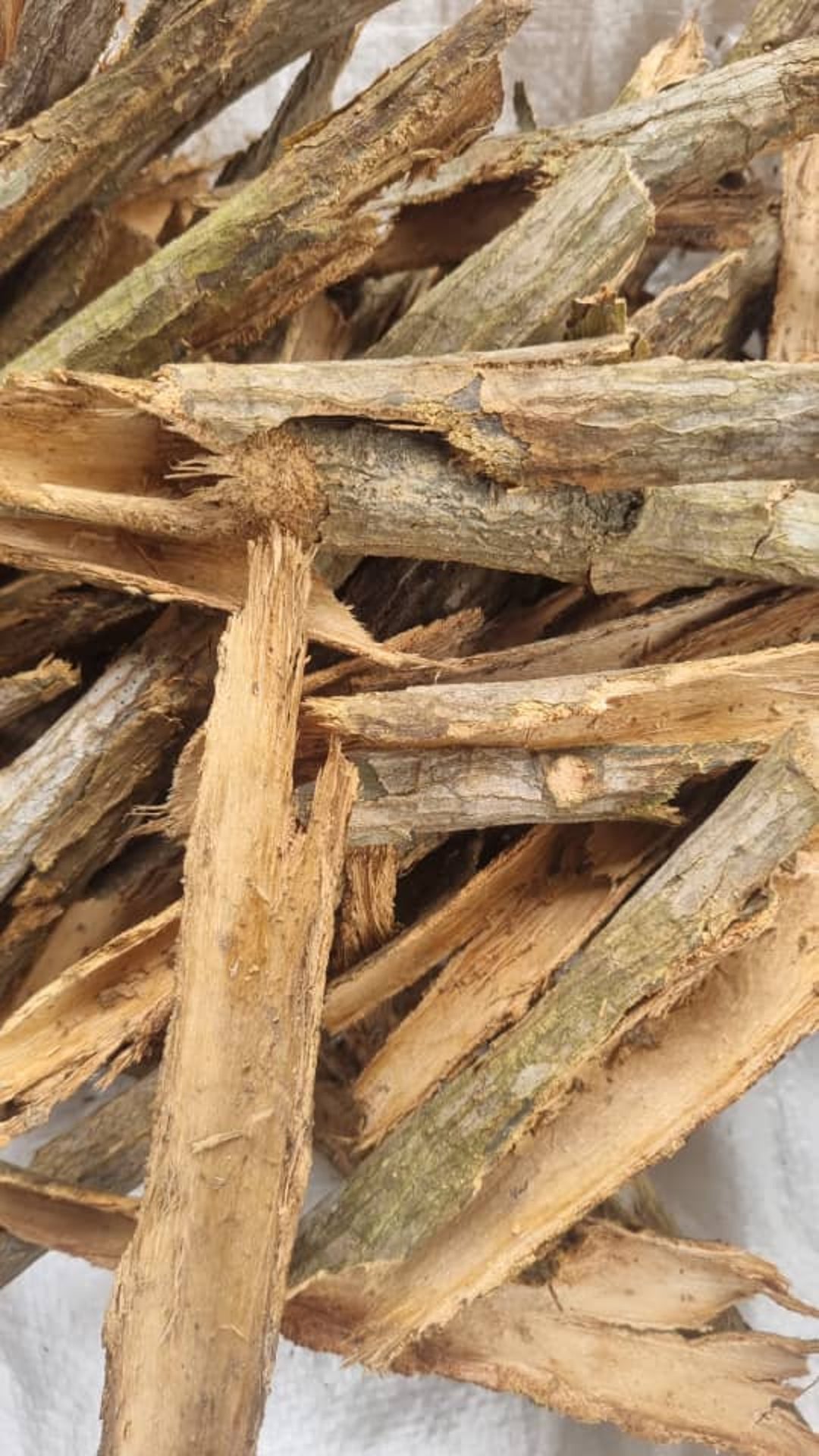 Anthocleista Bark - African Traditional Medicine - Etsy