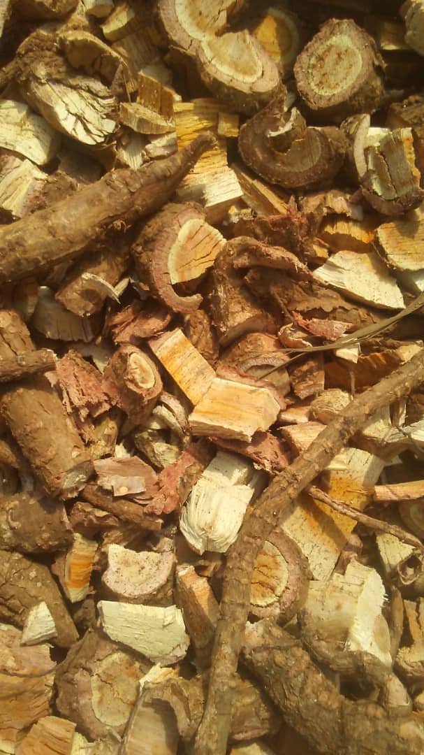 Caesalpinia Benthamiana/peacock Flower/ Roots /powder - Etsy