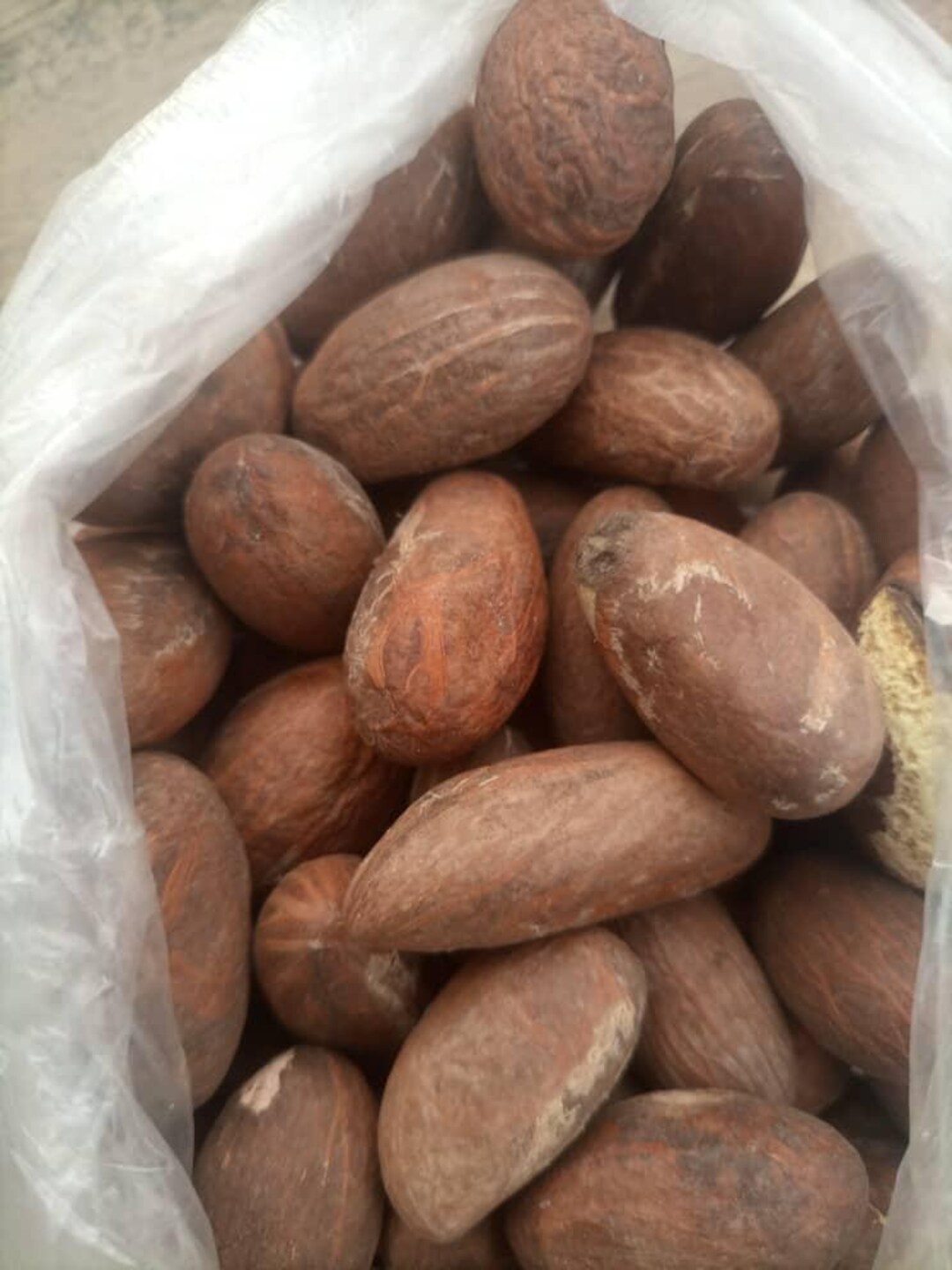 Garcinia Kola /bitter Cola - 1000g/1kg - Etsy