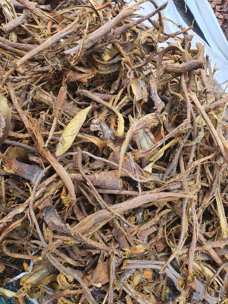 Nauclea Latifolia / African Peach Roots Bark - 1000g/1kg - Etsy